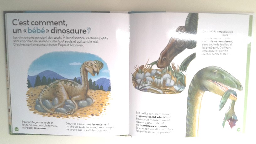 Les dinosaures